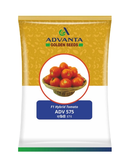 Advanta ADV-575 F1 Hybrid Tomato Seeds, High TYLCV Tolerant, Suitable ...