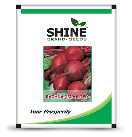 Beet Root Rachna Imported - Shine Brand Seed, Salgum Beej, Fruit Salad ...
