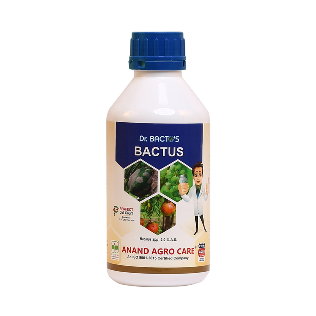 Dr. Bacto's Bactus (Bacillus subtilis) Control Anti Bacterial Diseases ...