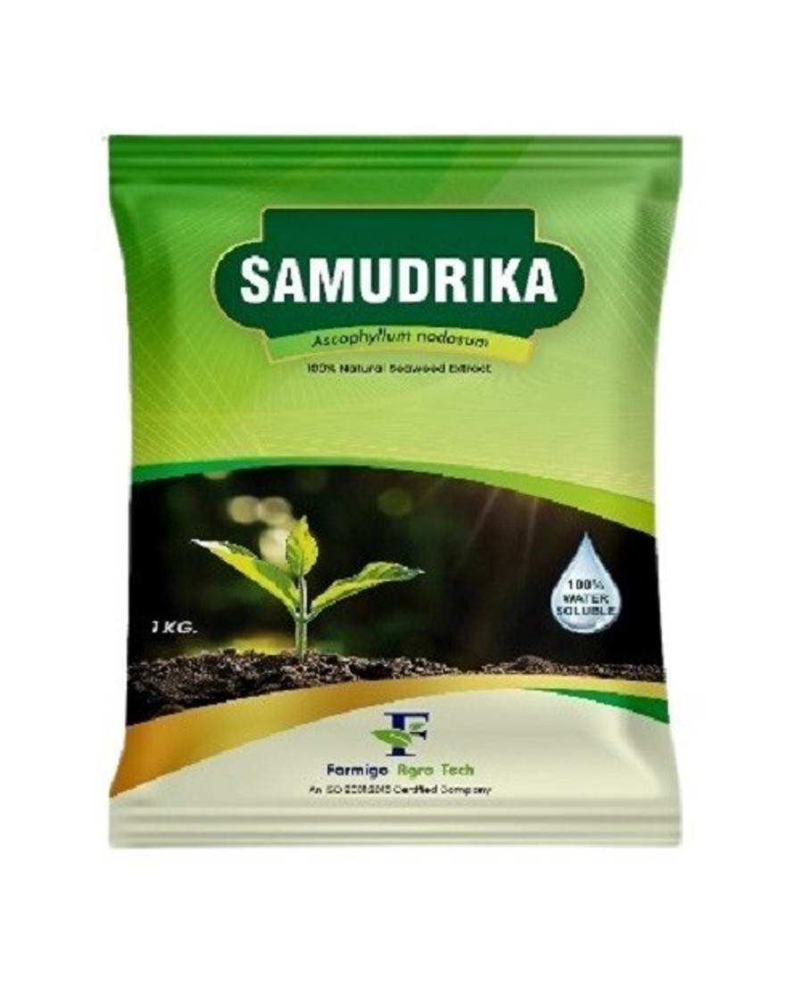 Farmigo Samudrika P Plant Growth Promoter, 100% Natural Seaweed Extract ...
