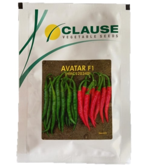 H.M. CLAUSE Hot Pepper Avatar Hybrid Chilli Seeds , Mirchi Ke Beej for ...