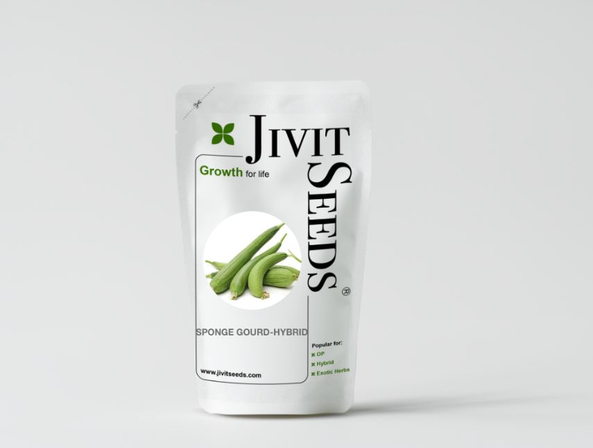 Jivit F1 Hybrid Sponge Gourd Raiyna Light Green, Gilki Ke Beej, Ghiya ...