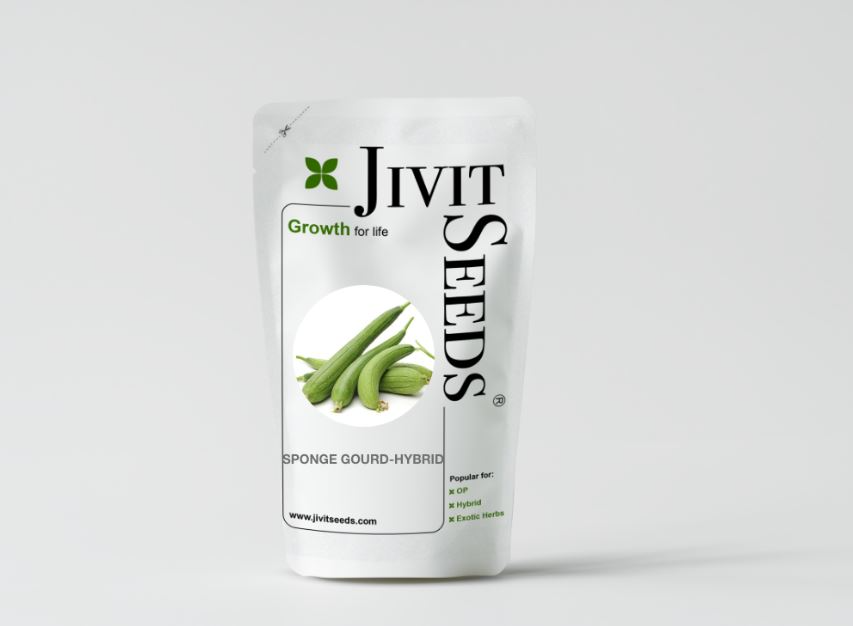 Jivit F1 Hybrid Sponge Gourd Sharvi Seeds, Vigorous Growing Vines, Dark ...