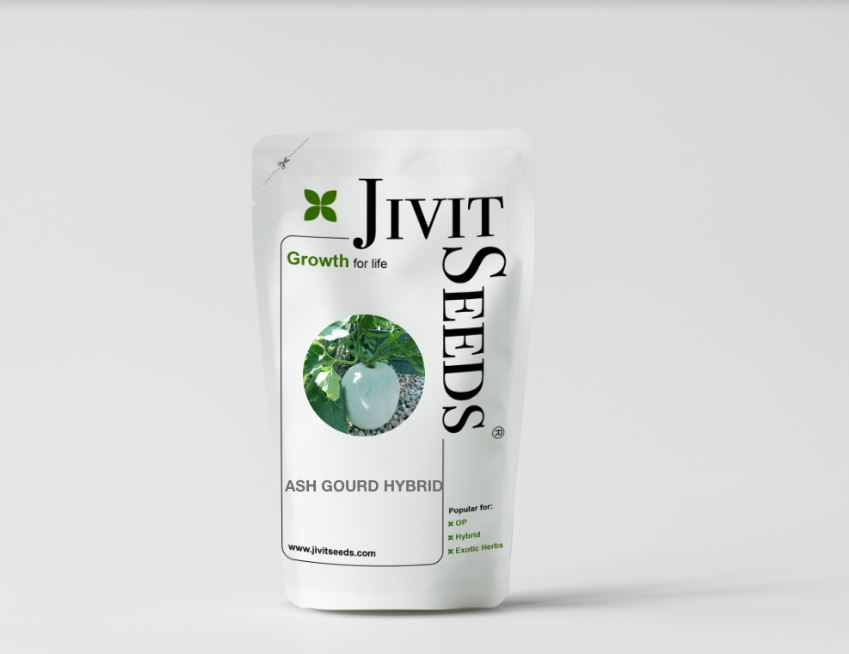 Jivit Hybrid Ash Gourd Seeds with Different Varieties, Warm Season Crop ...
