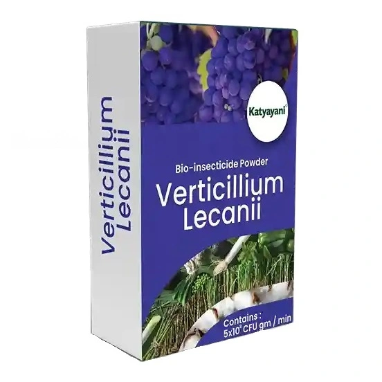 Katyayani Verticillium Lecani Powder Bio Insecticide, For Natural Pest ...