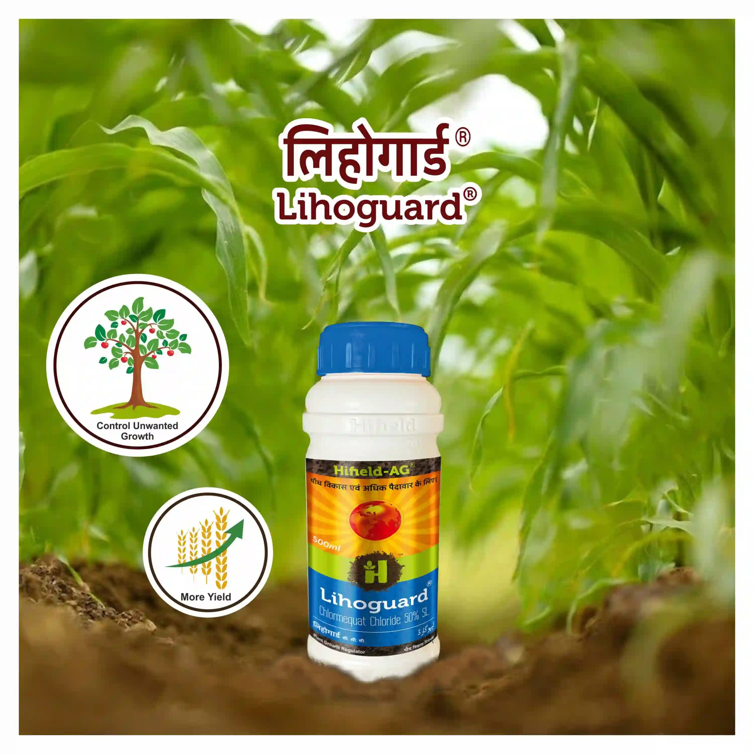 Lihoguard Chlormequat Chloride 50% SL, Widely Used In Agriculture For ...