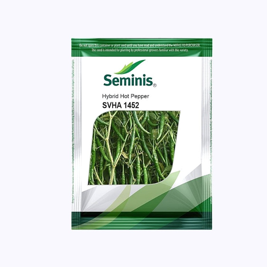 Seminis SVHA 1452 Hot Pepper F1 Hybrid Seeds, Dark Green Color, Chilli ...