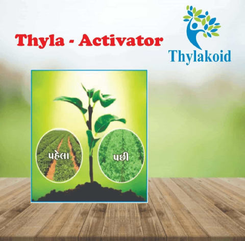 Thyla Activator Immunity Build, Provides the Strength to Withstand ...