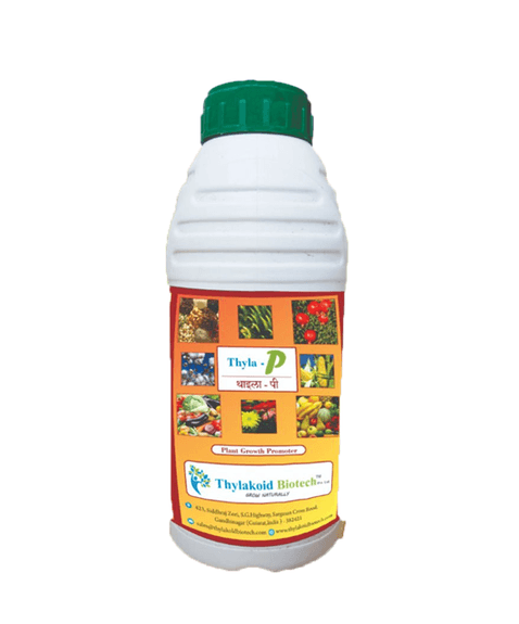 Thyla P Reduce the phosphorus deficiency in all crops. Phosphorus 13 to ...