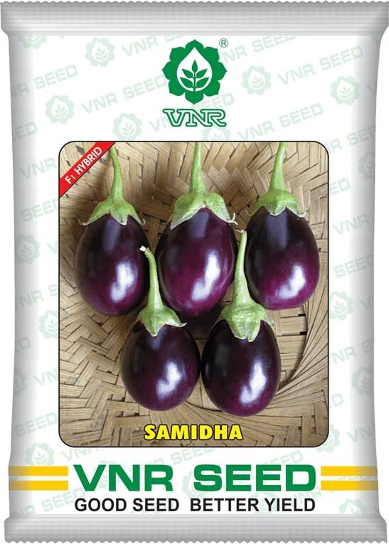 VNR Samidha F1 Hybrid Brinjal Seeds, Bengan Ke Beej, Light Purple Oval ...